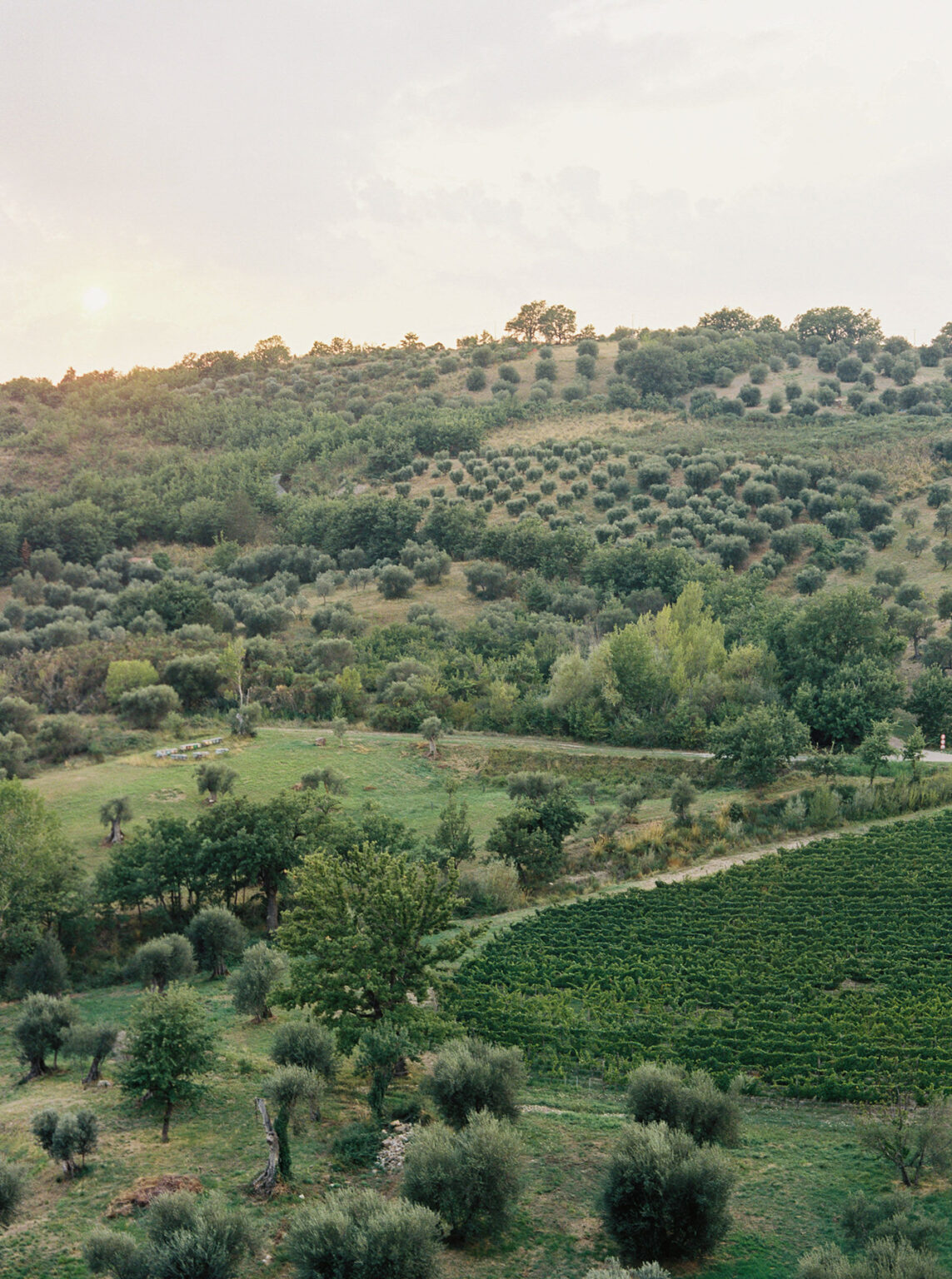 Can I Contribute to My Old SIMPLE IRA Through a New Employer ...