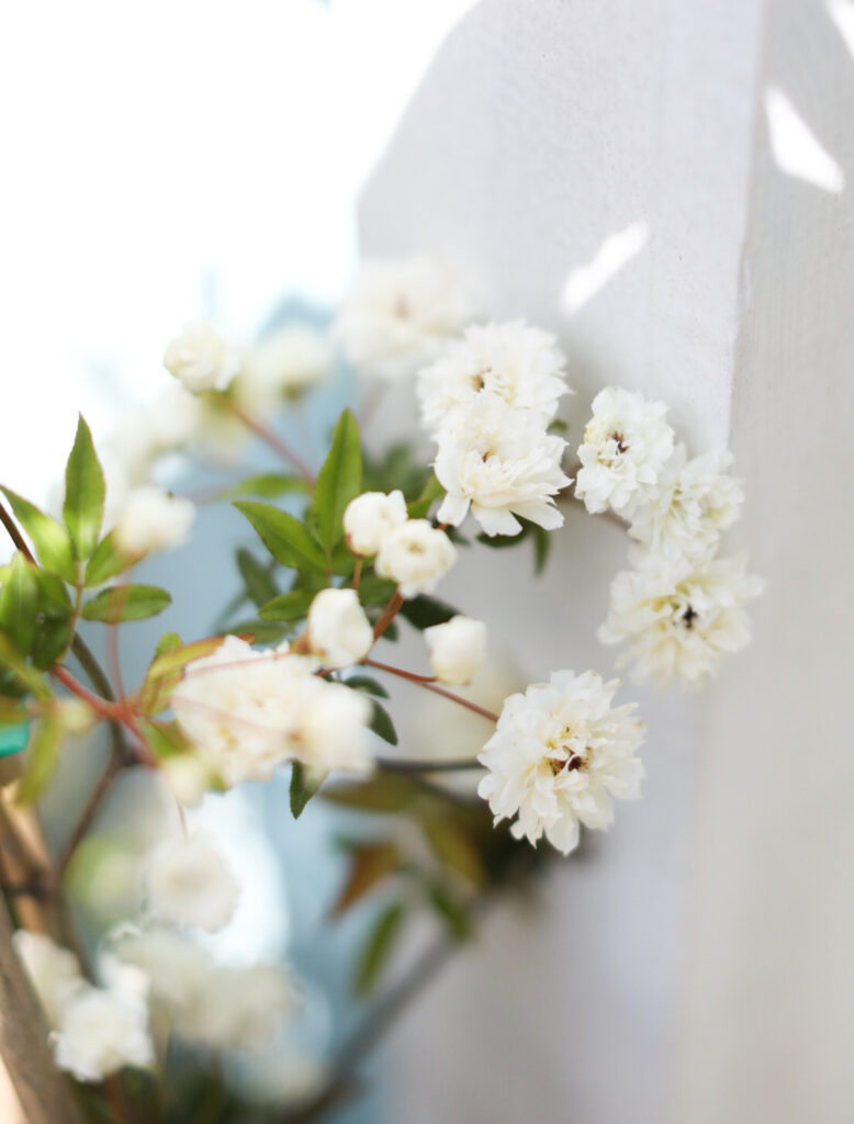 The Super Catch-Up Rule Is Here: What 401(k) Plan Sponsors Need to Know ...